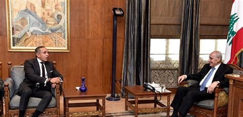 بري تسلم رسالة من نظيره المجري وبحث والسفير المصري في الاوضاع