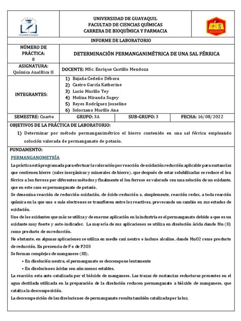 Informe 8 Pdf Redox Química Física