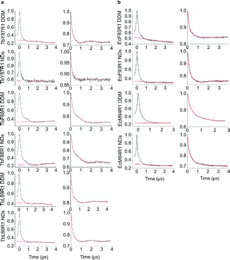 Raw And Background Corrected Peldor Time Domain Data For Tbmscl And