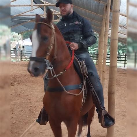 Carlos Cardona Youtube