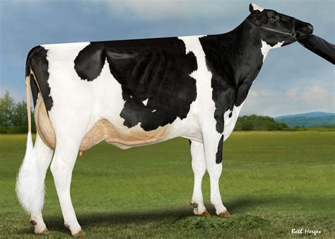 Jacobs Unix Viola Pictured Embryosale Embryos