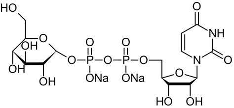 Results For Udp Abcam Antibodies Proteins Kits