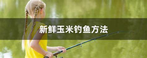 新鲜玉米钓鱼方法 鱼百科