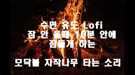 Lofi 모닥불 자작나무 타는 소리 3시간 연속 듣기 잠 안 올 때 잠잘 때 듣는 소리 자작나무타는소리 수면유도음악