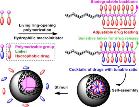 Ring Opening Polymerization Of Prodrugs A Versatile Approach To