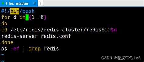 Redis数据库集群（主从复制、哨兵、cluster） 源码巴士