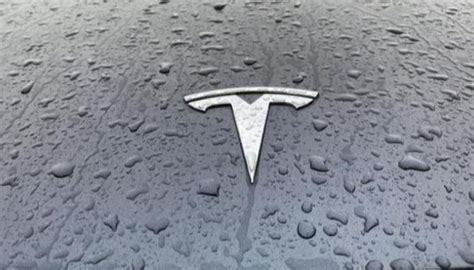 تسلا تخفض الأسعار للمرة الثانية بماذا يفكر إيلون ماسك؟