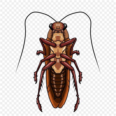 Cockroach Art