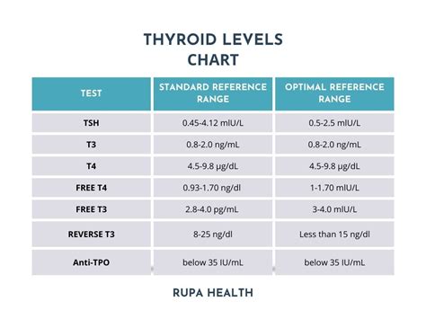 A Functional Medicine Approach To Thyroid Hormone Labs