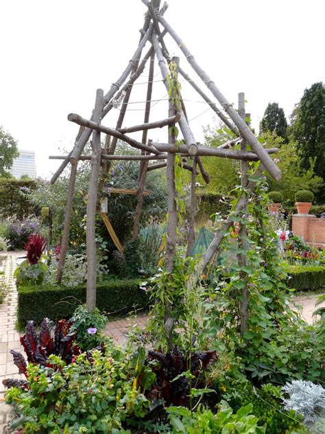 1001 Shrubs Examples Liste Télécharger Unique Photopng