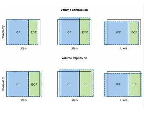 Volume Contractionexpansion Quiz