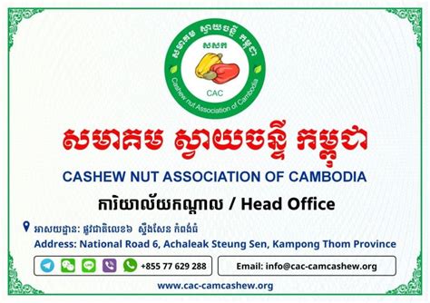 [english Below ] សសក សោកស្តាយដែលជំនួយអាមេរិកត្រូវបានបញ្ចប់ បើទោះបីជា សសក… Cashew Nuts