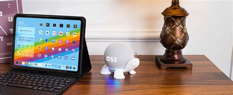 Turtle Echo Dot Holder Stand For Echo Dot 4th 5th