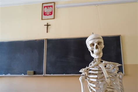Zmiany w szkołach od 1 września Na to trzeba być przygotowanym