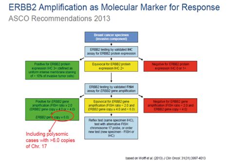 The Her 2neu Erbb2 Oncogene In Breast Cancer Prognostic Factor