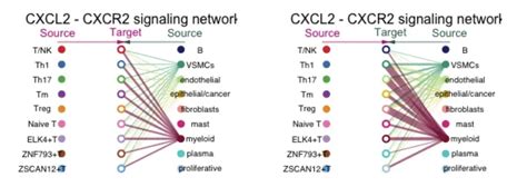 单细胞实战之cellchat——入门到进阶 高级篇1） findenrichedsignaling csdn博客