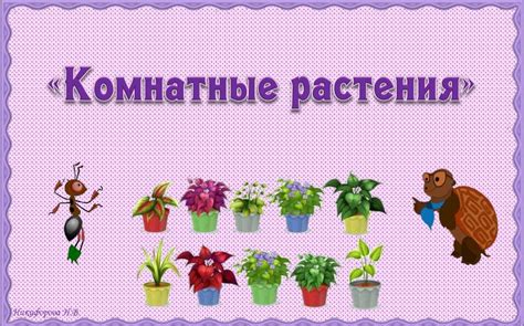 Комнатные растения - презентация онлайн