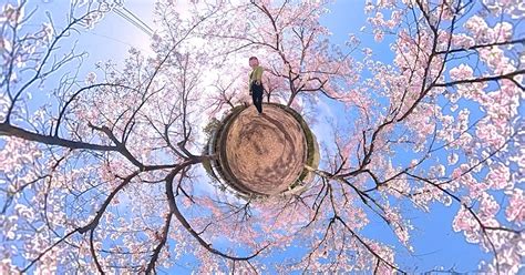 什么是cmos传感器？与ccd传感器的区别 Knowledge 103 Cizucu