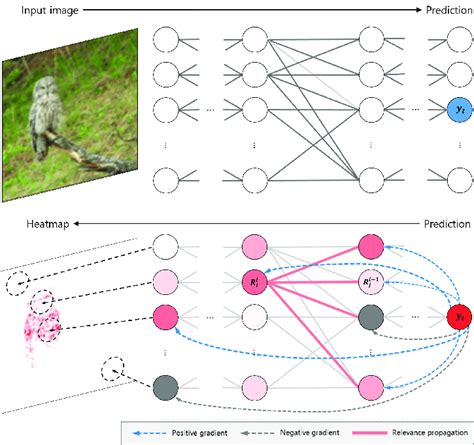 overview of the proposed selective layer wise relevance propagation