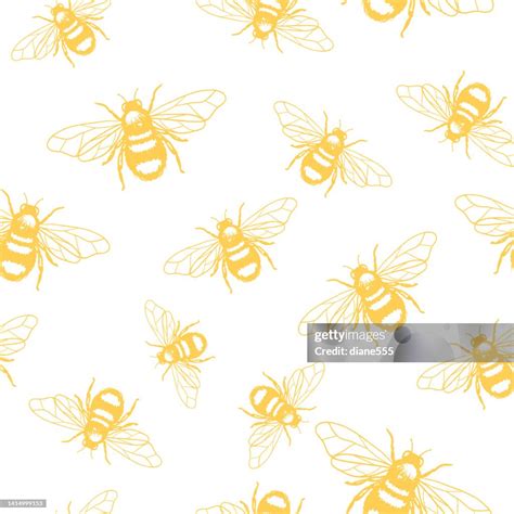Bumble Bee Seamless Pattern High Res Vector Graphic Getty Images