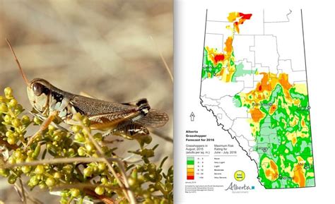 Grasshopperandabmap1000 Agcanada