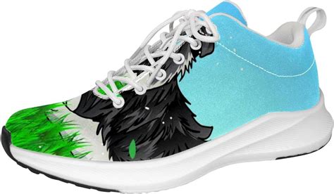 Walking Shoes Border