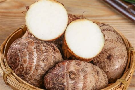 Khoai Sọ Củ Quê Hương Giá Trị Vàng Trong Nông Nghiệp Nông Sản Mekong