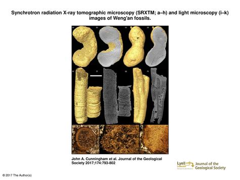 Journal Of The Geological Society Ppt Download