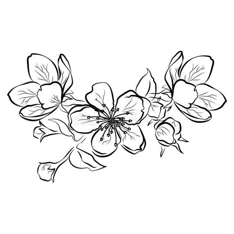 Black And White Cherry Blossom Clipart