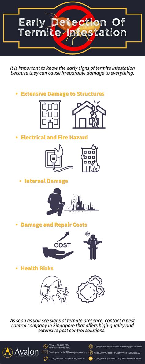 Early Detection Of Termite Infestation Social Social Social Social