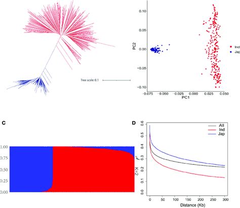 Population Analyses Of The Genetic Panel A Phylogenetic Tree Of 448