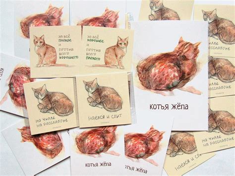 Открытки с котиками on Behance