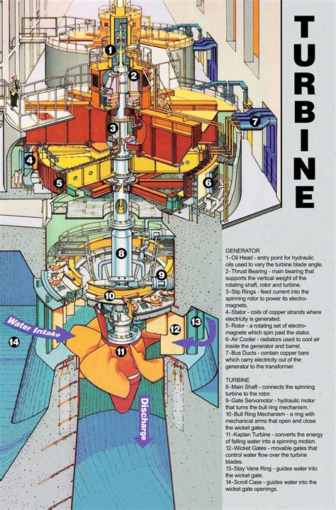 Usace Plans Fish Survival Testing This Fall On The Second Improved Fish