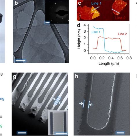 Schematic Illustration Of Direct Mxene Ink Printing The Ti3c2tx Download Scientific Diagram