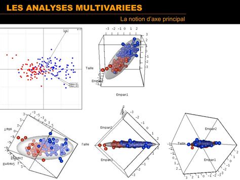 Ppt Les Analyses MultivariÉes En Biologie Powerpoint Presentation