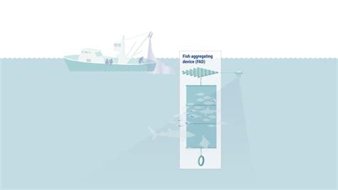 Acoustic Discrimination