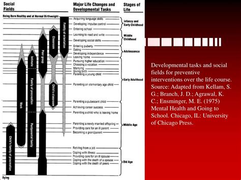 Ppt Early Adulthood Powerpoint Presentation Free Download Id6654959