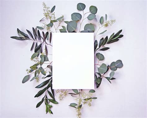 Download Mockup Background Download Mockup Background