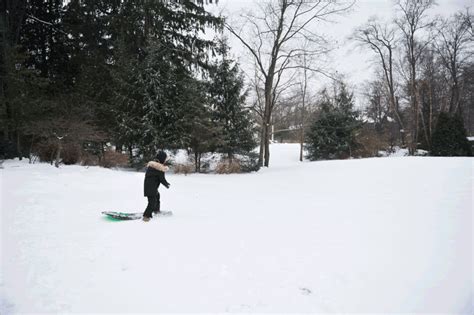 Blog Blog Archive Shane The Blog