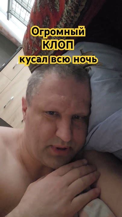 КЛОПЫ в кровати Youtube