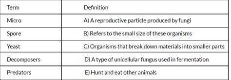 Worksheet Microorganisms Igcse Cambridge Science For Year 6 Class
