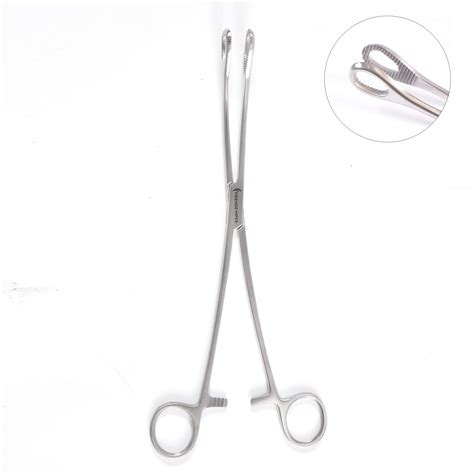 Sponge Holding Forceps Curved 10 Surgical Body Piercing Gynaecology T