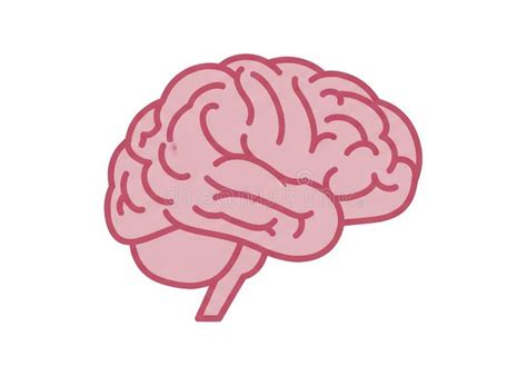 Simple Pink Human Brain Illustration Isolated On A White Background