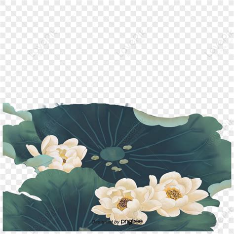 여름철 꽃잎 식물 일러스트스크랩북파스텔애인 Png 일러스트 무료 다운로드 Lovepik