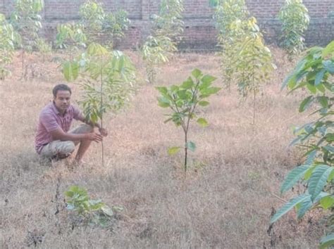 Leaving Traditional Farming Farmers Are Making Fixed Deposits In