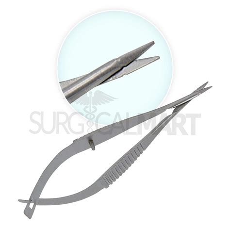 Rat Dissection Kit 8 Pcs Rat Anatomy Tools Veterinary Instrument