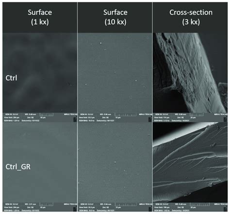 Surface And Fracture Microstructure Of Control Samples Of Edible Packaging Download