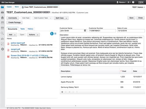 4 Ibm Case Manager Case Details View With Case Files On The Left And