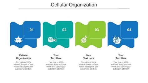 Cellular Organization Powerpoint Presentation And Slides Ppt Example