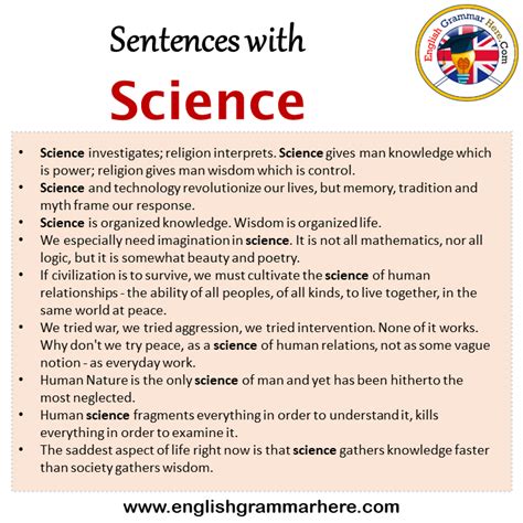 Sentences With Science Science In A Sentence In English Sentences For Science English